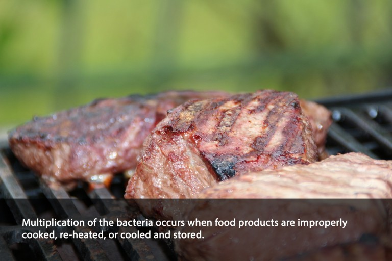 Clostridium Perfringens Food Borne Illness | Merman Law Firm